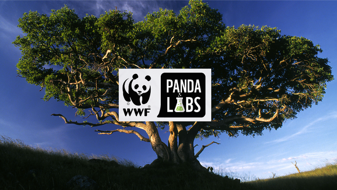 WWF Kenya – Donations